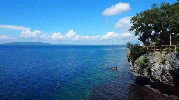 Napaling Reef in Panglao, Bohol - A (Free) Diver’s Paradise!